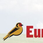 European Goldfinch Dot Net